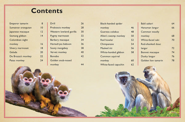 The Magnificent Book of Monkeys and Apes – Insight Editions