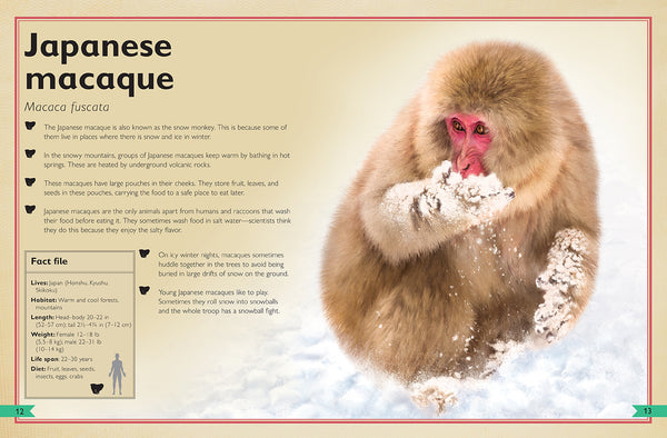 The Magnificent Book of Monkeys and Apes – Insight Editions