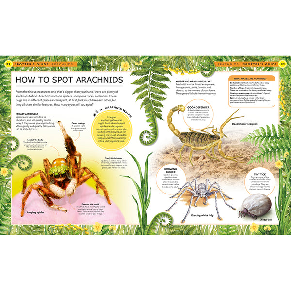 Bugs – Insight Editions