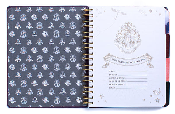 Harry Potter: Hogwarts Teacher's 12-Month Undated Planner – Insight ...