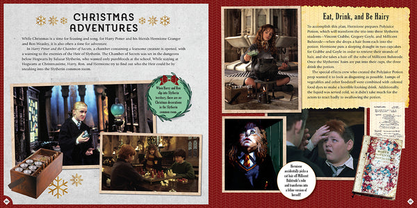 Harry Potter: Christmas at Hogwarts – Insight Editions