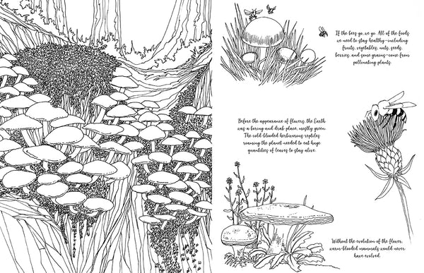 Fantastic Fungi: The Coloring Book – Insight Editions