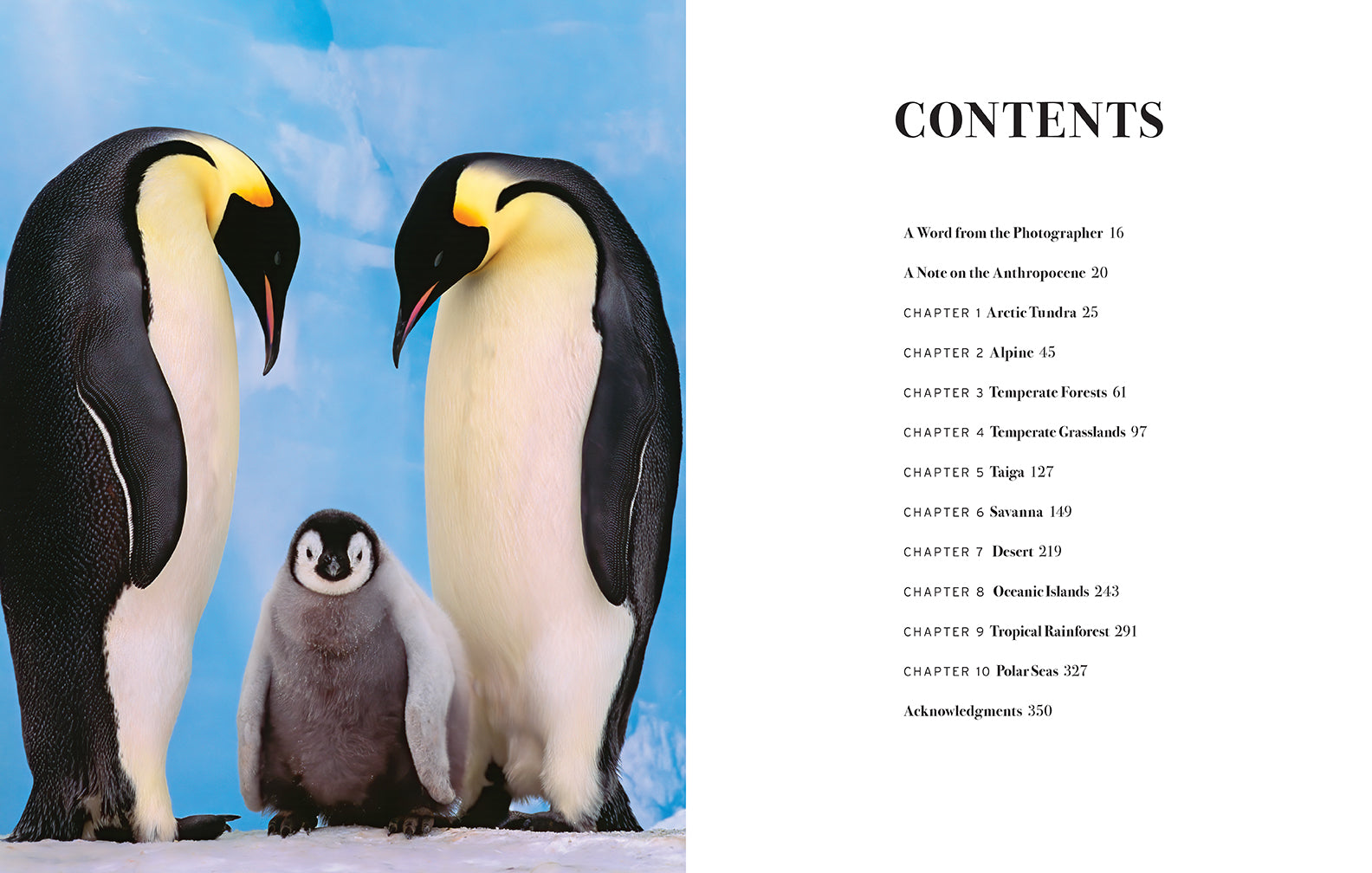 Wild Lives – Insight Editions