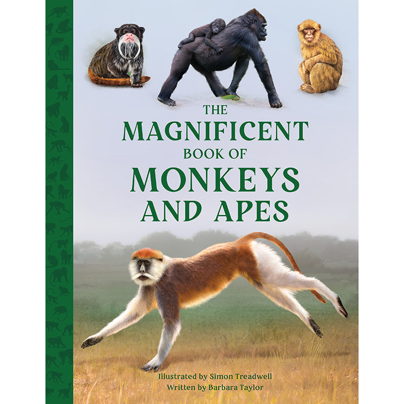 Rainforest Animals – Insight Editions