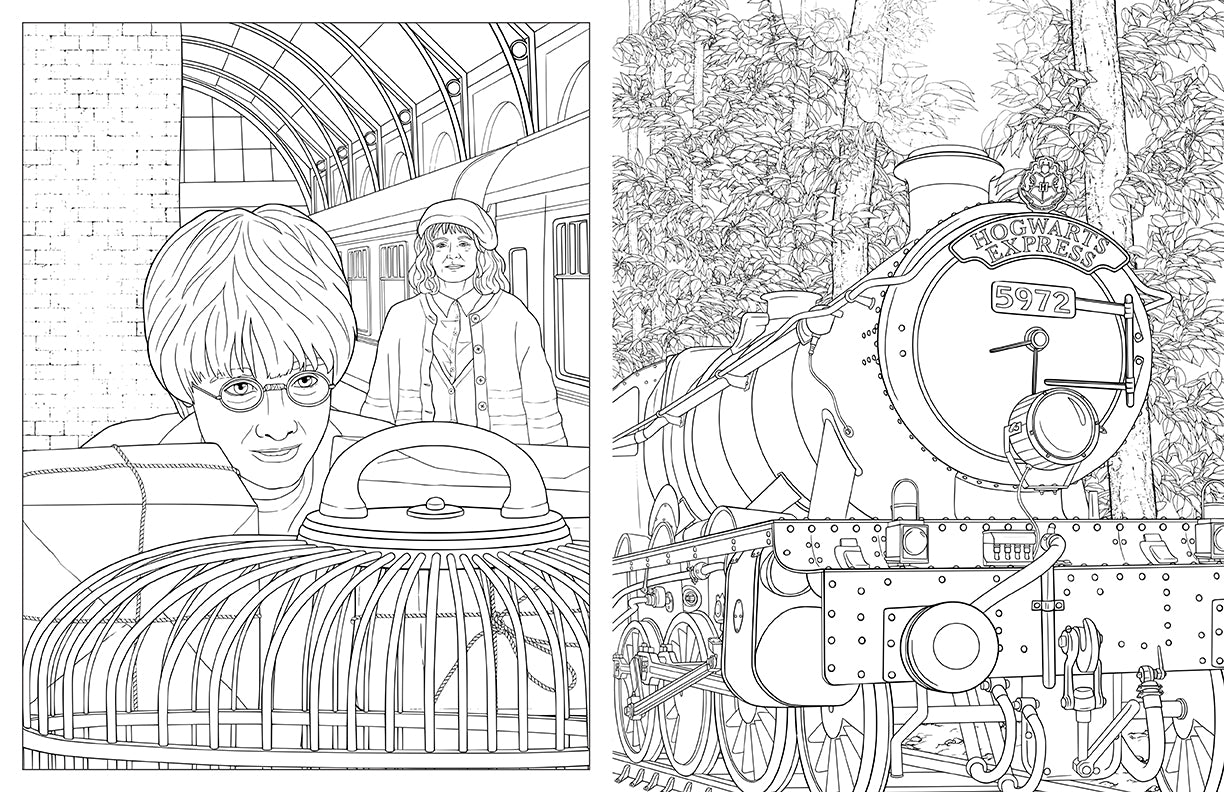 Harry Potter: Travels Through the Wizarding World – Insight Editions