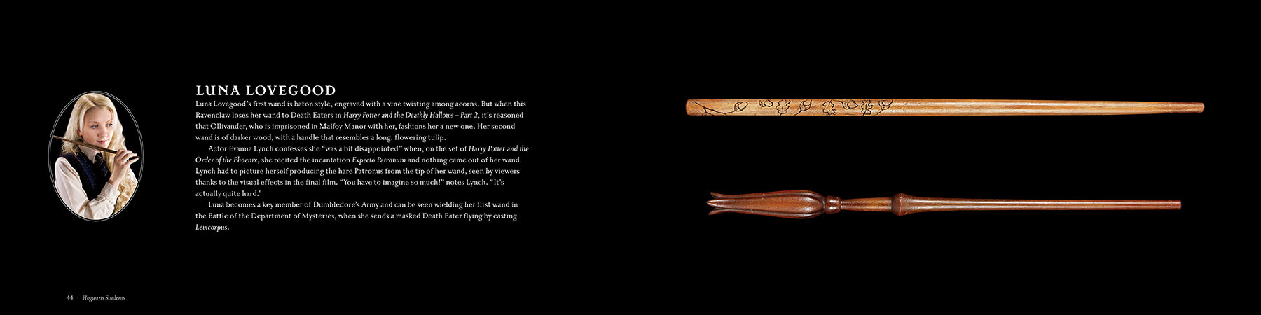 Harry Potter and Fantastic Beasts: The Wands of the Wizarding World ...