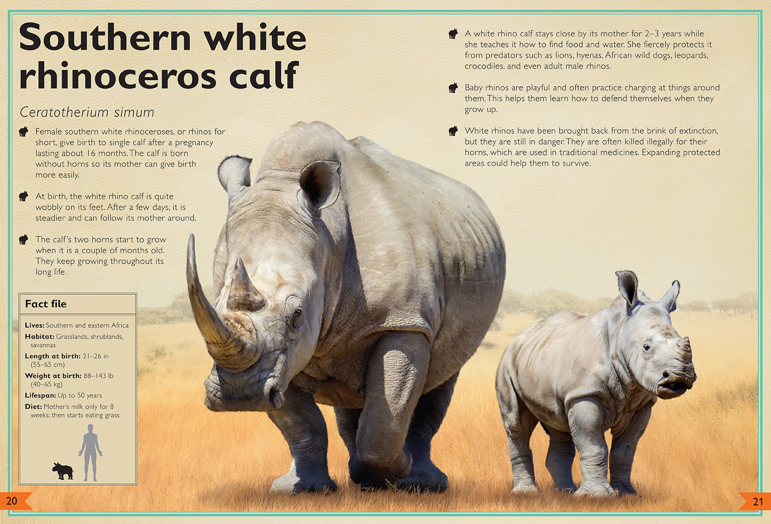 The Magnificent Book of Baby Animals – Insight Editions