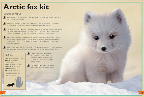 The Magnificent Book of Baby Animals – Insight Editions