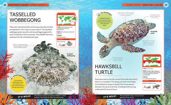 Ocean Creatures – Insight Editions