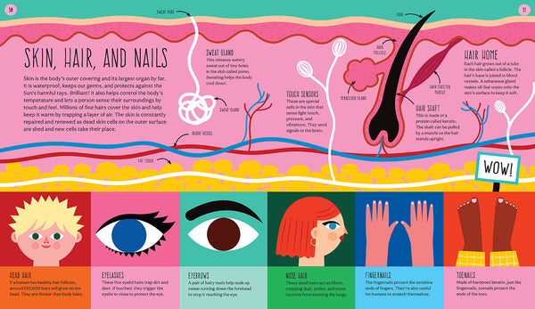 How to Make a Human – Insight Editions