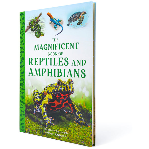 The Magnificent Book of Reptiles and Amphibians – Insight Editions