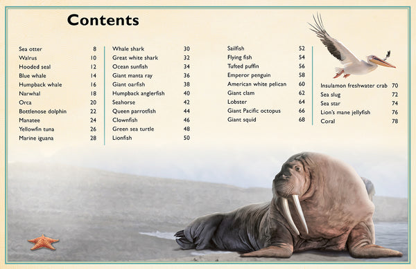 The Magnificent Book of Ocean Creatures – Insight Editions