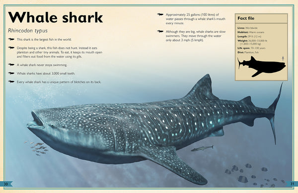The Magnificent Book of Ocean Creatures – Insight Editions