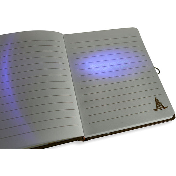 Harry Potter: Hogwarts Lock & Key Diary – Insight Editions