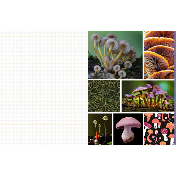 Cut and Collage Mushrooms and Fungi – Insight Editions