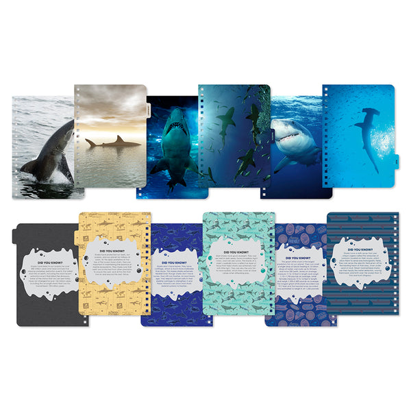 2026 Shark Week 13-Month Weekly Planner – Insight Editions