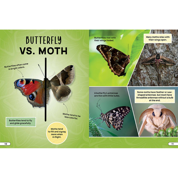 Smithsonian Explores: Bugs and Insects – Insight Editions