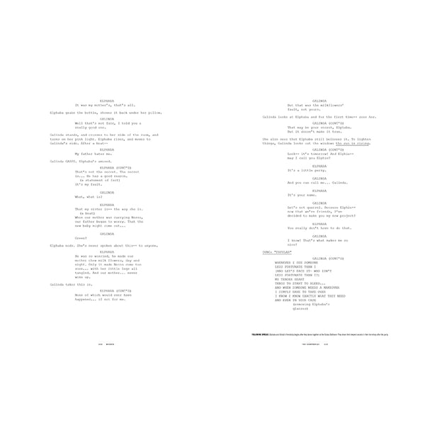 Wicked: The Complete Screenplay – Insight Editions