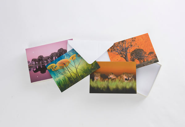 Into Africa: Blank Boxed Notecards – Insight Editions
