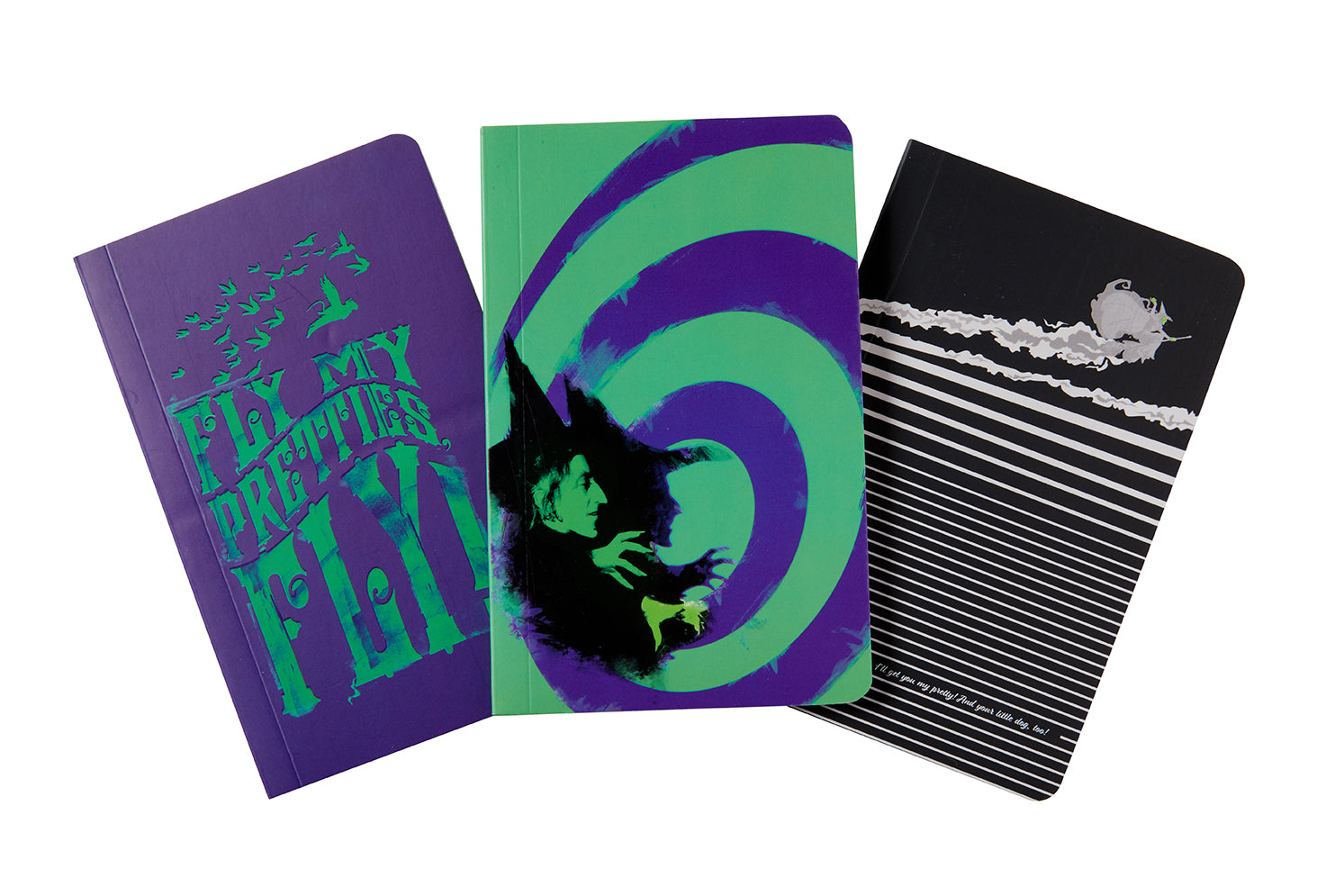 The Wizard of Oz: Wicked Witch of the West Pocket Notebook Collection ...
