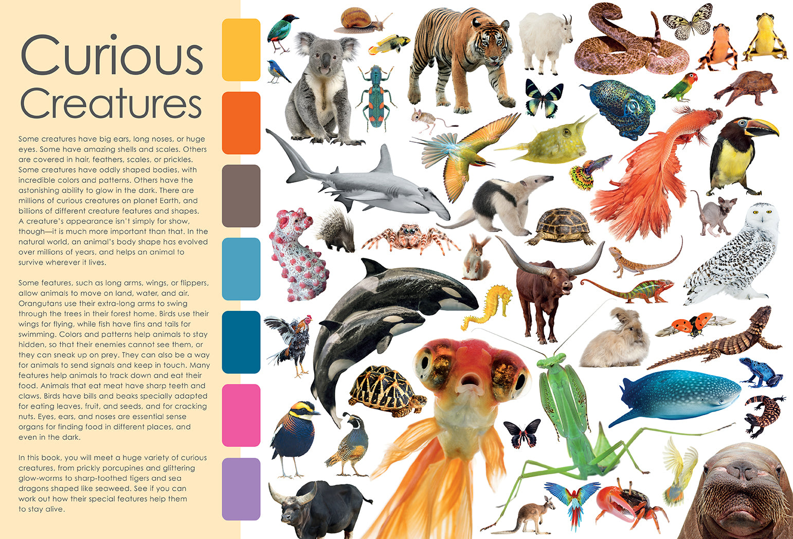 Curious Creatures – Insight Editions