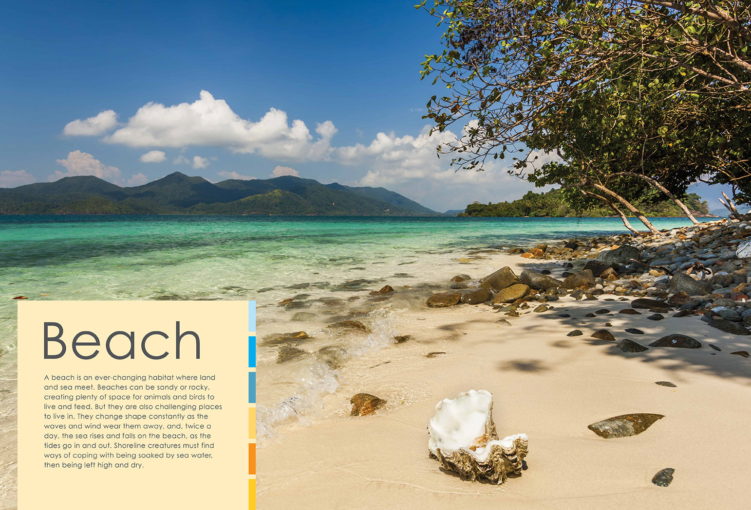 Habitats and the Animals Who Live in Them – Insight Editions