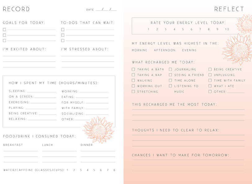 Recharge – Insight Editions