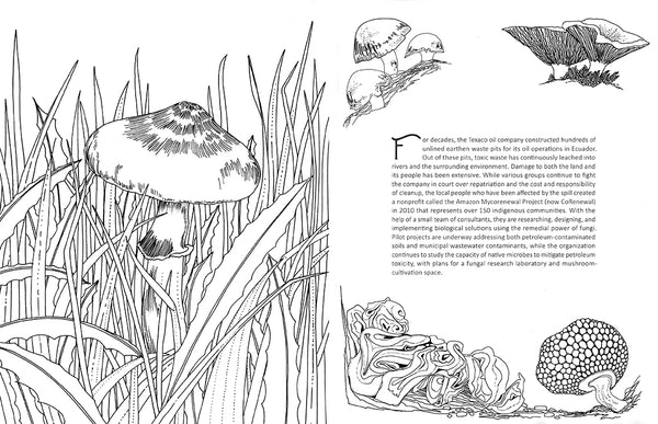 Fantastic Fungi: The Coloring Book – Insight Editions
