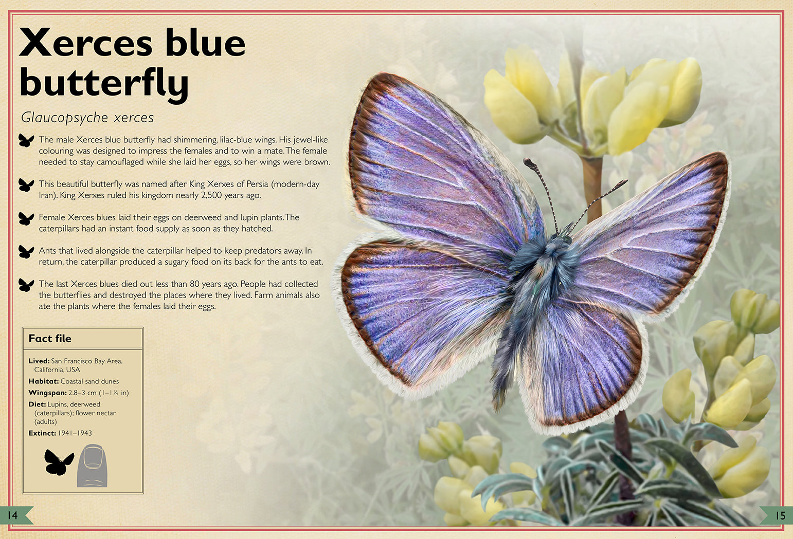 The Magnificent Book of Extinct Animals – Insight Editions