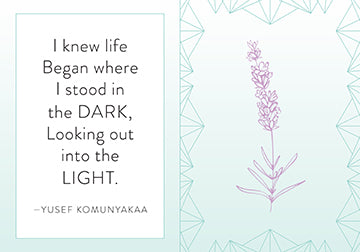 Mindfulness [Mini Book] – Insight Editions