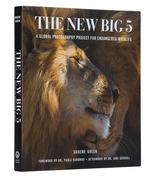 The New Big 5 – Insight Editions