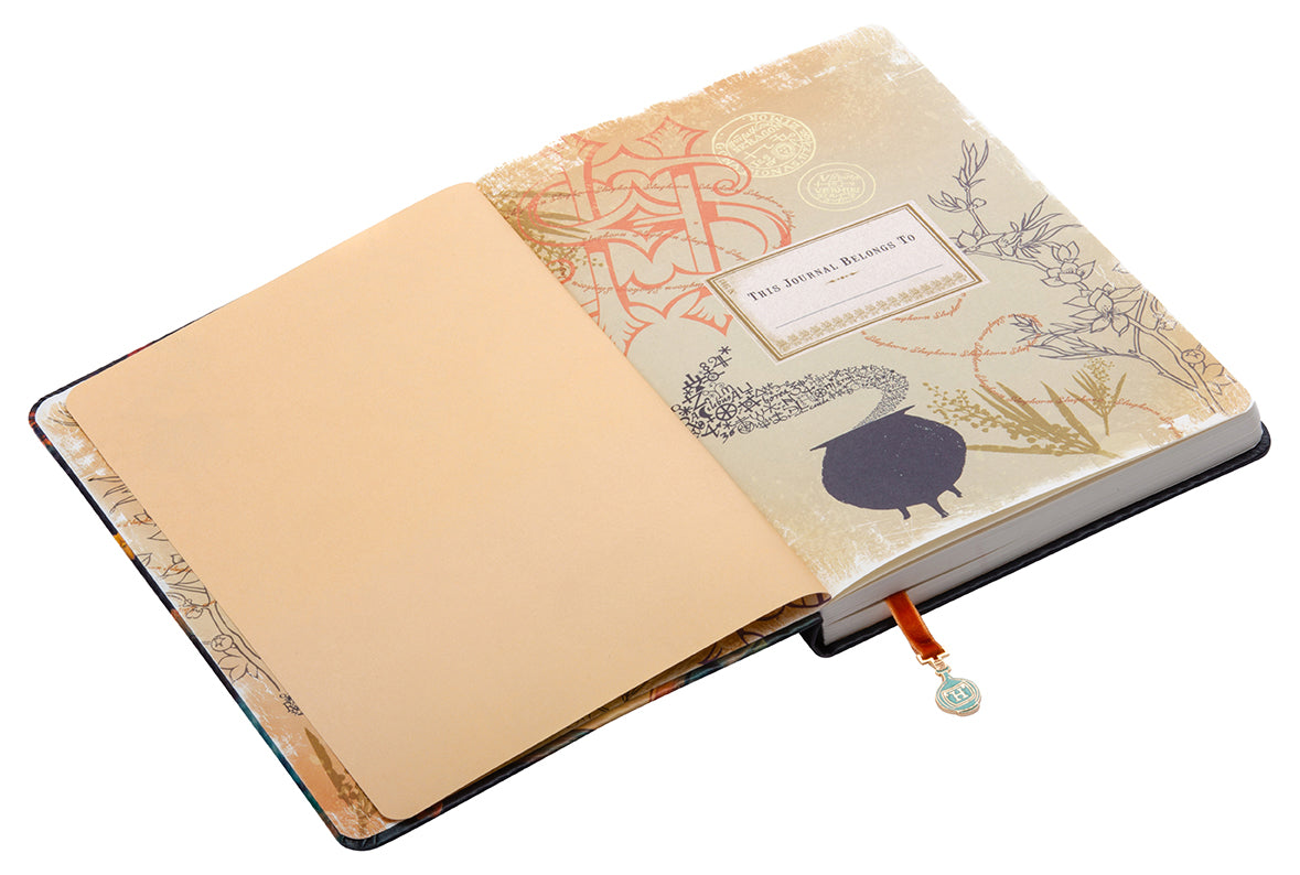 Harry Potter: Hermione Granger Journal with Ribbon Charm – Insight Editions