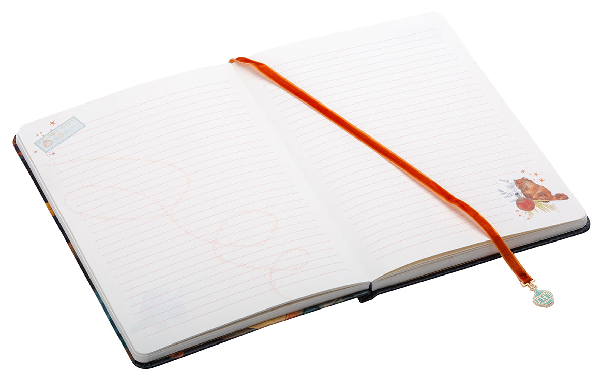 Harry Potter: Hermione Granger Journal with Ribbon Charm – Insight Editions