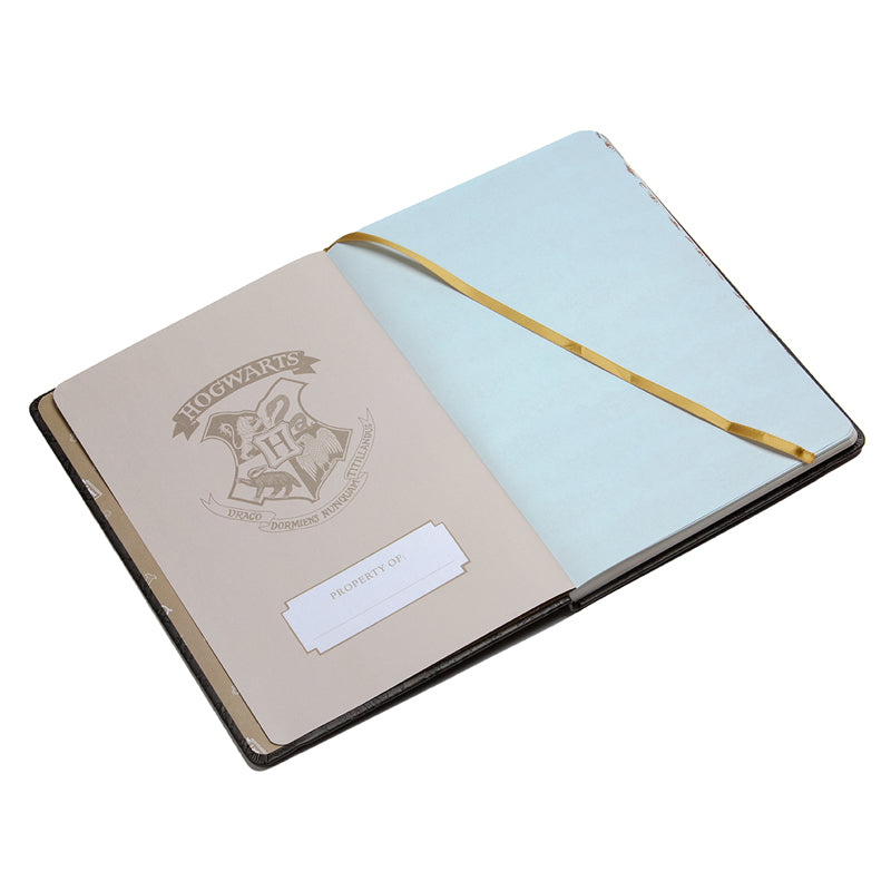 Harry Potter 2023-2024 Academic Year Planner – Insight Editions