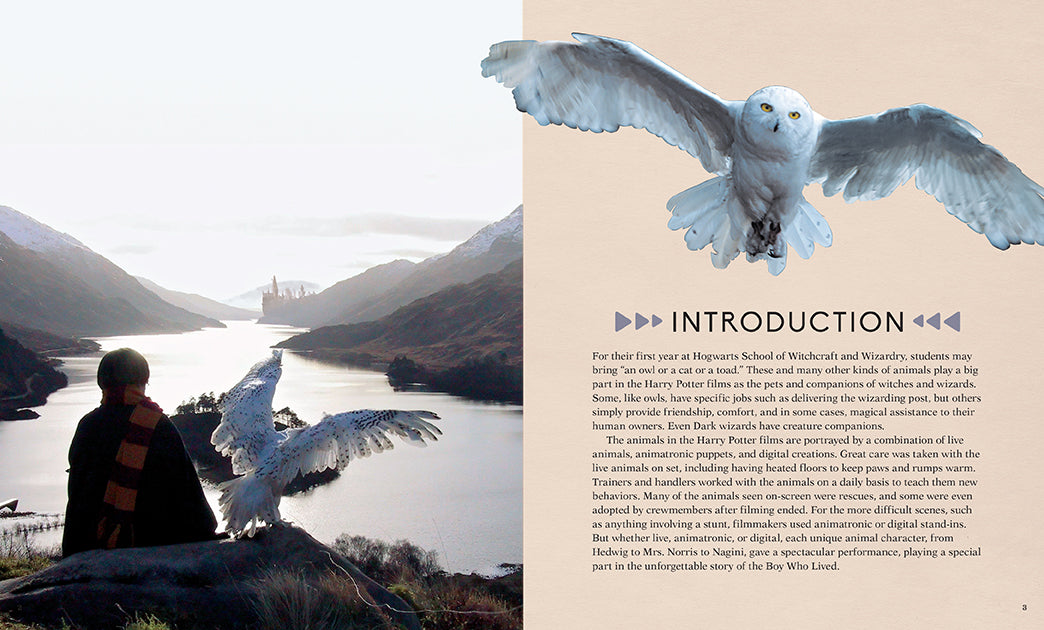 IncrediBuilds: Harry Potter: Hedwig 3D Wood Model and Book – Insight ...